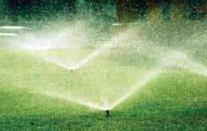 RAIN BIRD IRRIGATION SYSTEMS – MULTIPLE INDUSTRIES LTD